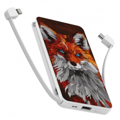 Купить повербанки на 10000 mAh в Киеве